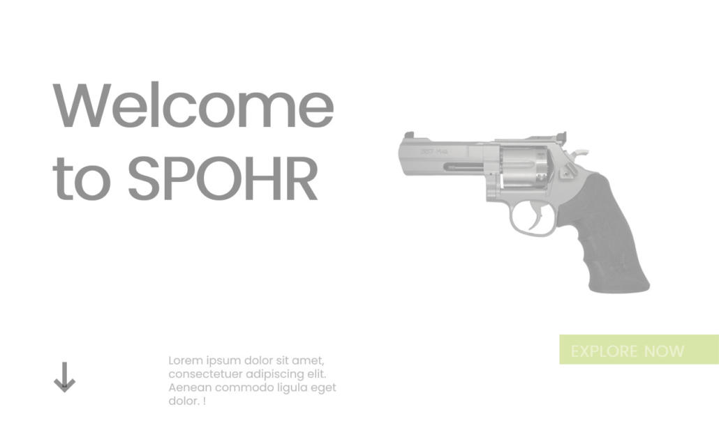 Home - SPOHRguns.com your source for high performance 100% German made ...